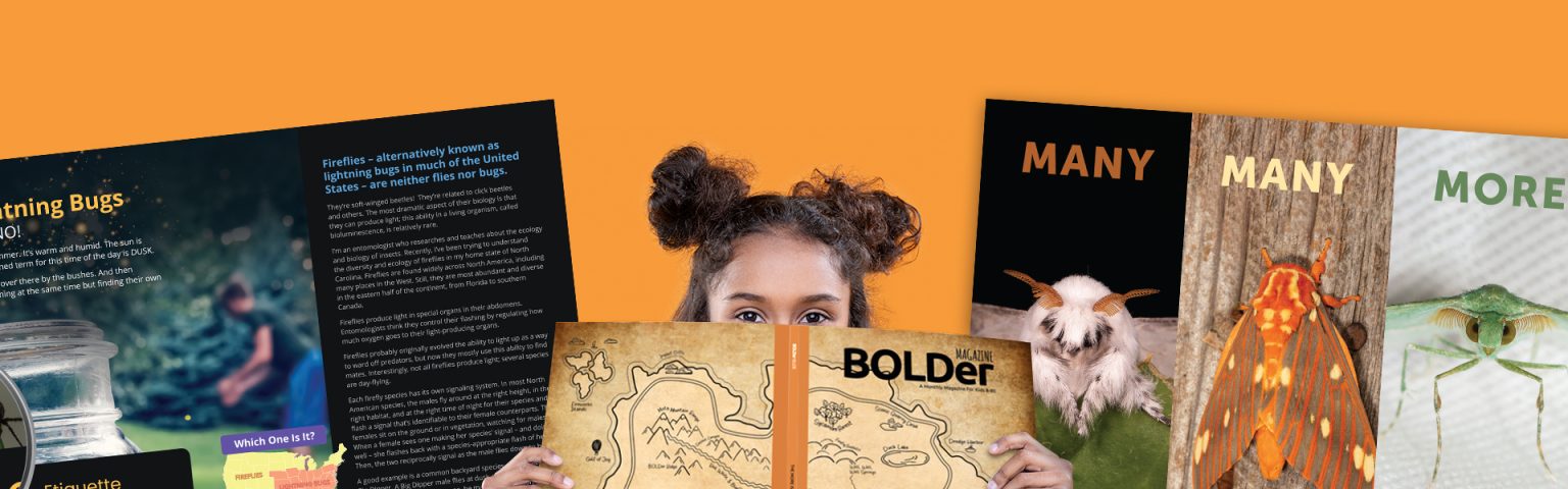 Home | BOLDer Magazine